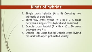 BREEDING METHOD IN CROSS POLLINATED CROPS.pptx