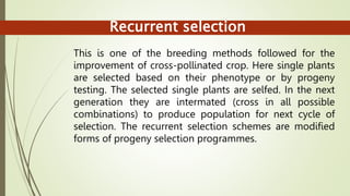 BREEDING METHOD IN CROSS POLLINATED CROPS.pptx