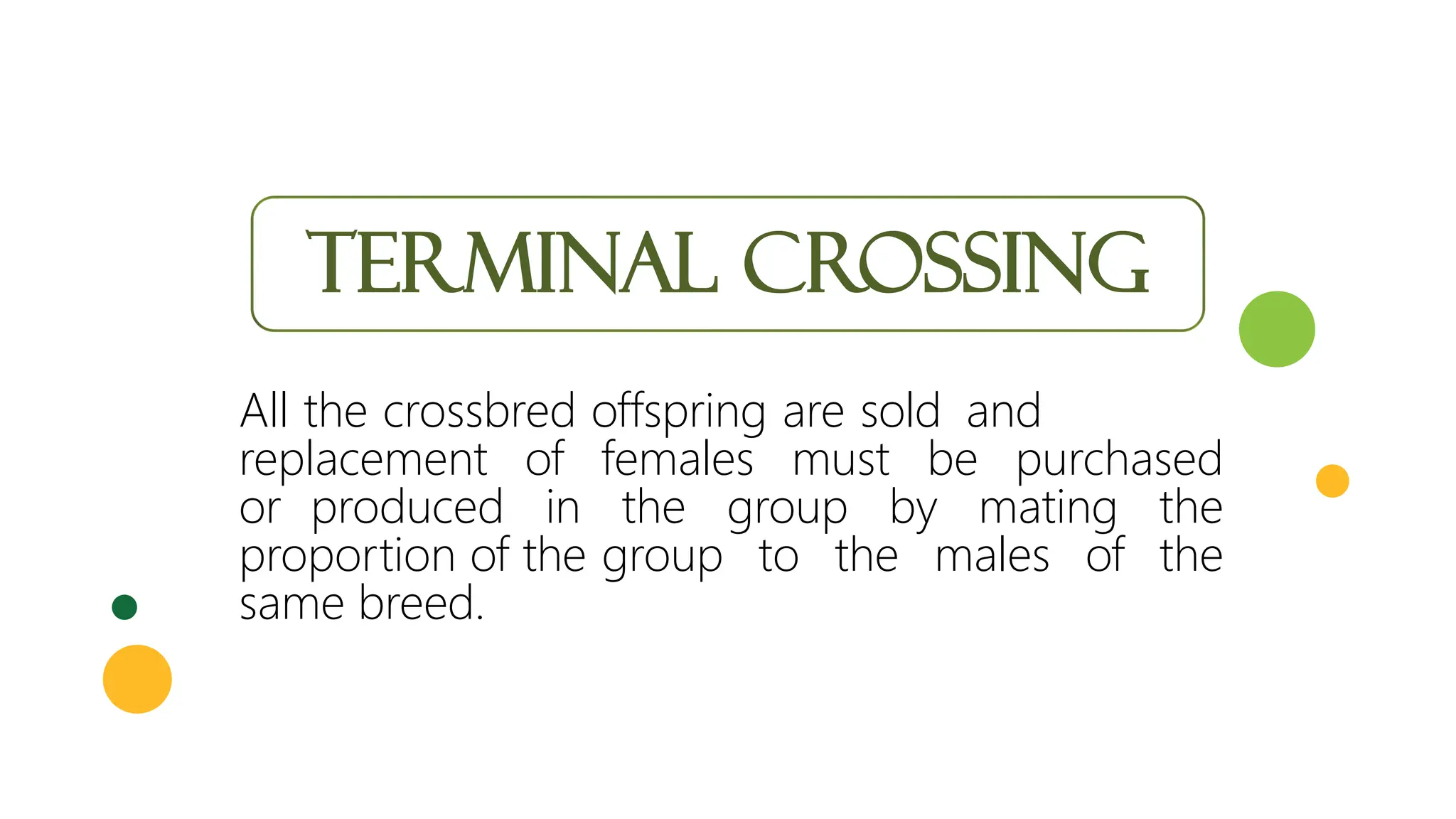 ANIMAL BREEDING PROGRAM AND BREEDING METHODS.pdf