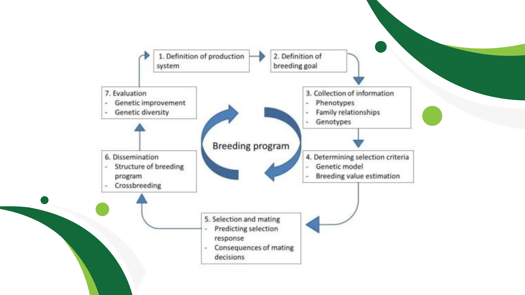 ANIMAL BREEDING PROGRAM AND BREEDING METHODS.pdf