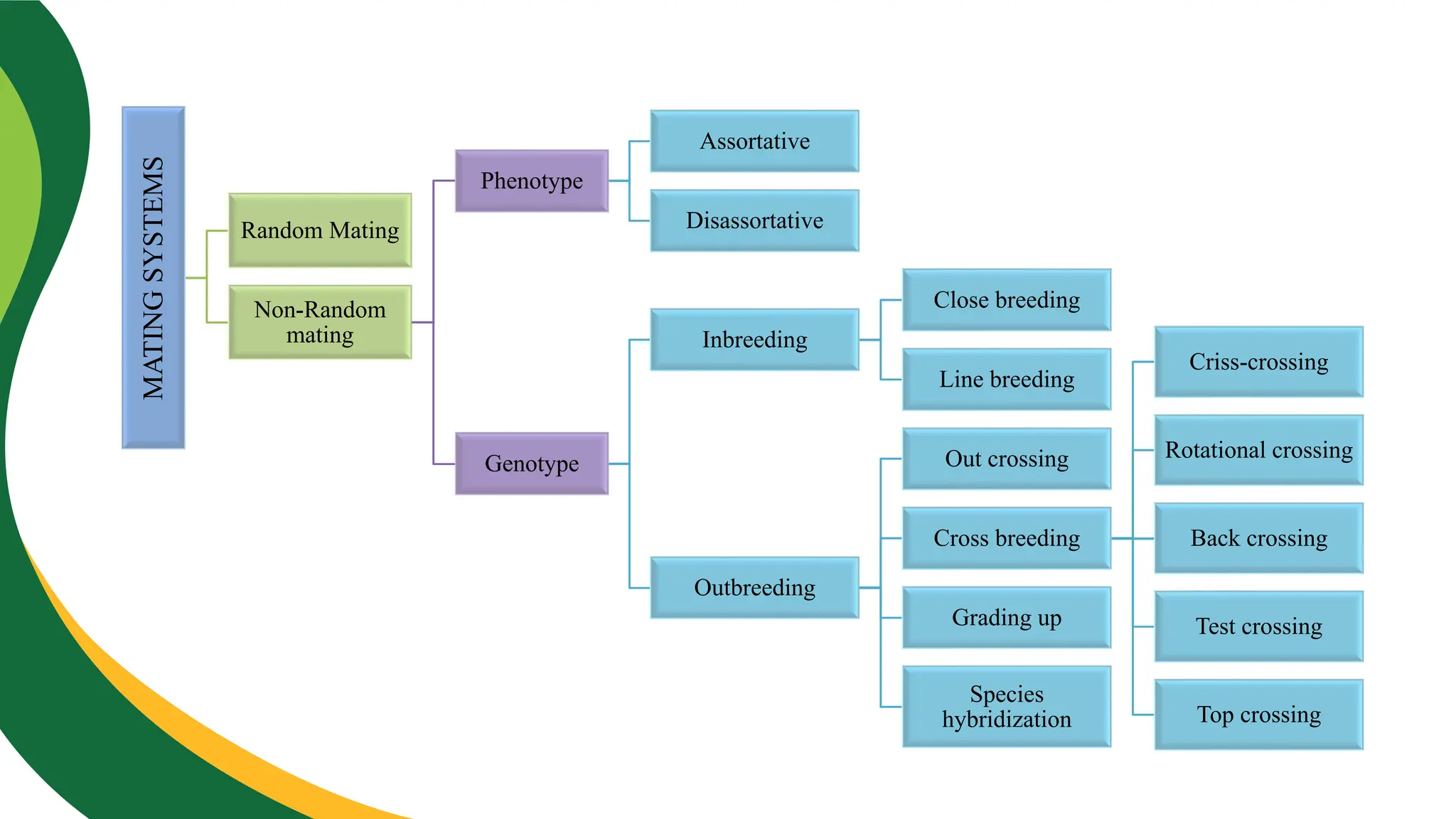 ANIMAL BREEDING PROGRAM AND BREEDING METHODS.pdf