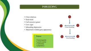 ANIMAL BREEDING PROGRAM AND BREEDING METHODS.pdf