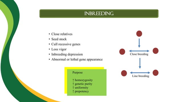 ANIMAL BREEDING PROGRAM AND BREEDING METHODS.pdf | Genetics | Science