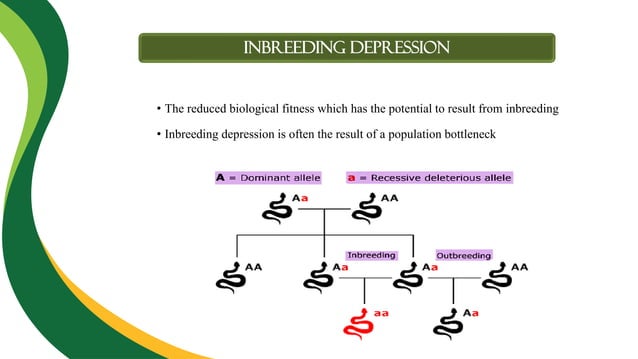 ANIMAL BREEDING PROGRAM AND BREEDING METHODS.pdf | Genetics | Science