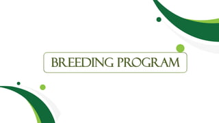 ANIMAL BREEDING PROGRAM AND BREEDING METHODS.pdf