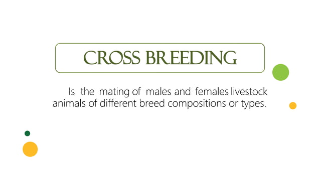 ANIMAL BREEDING PROGRAM AND BREEDING METHODS.pdf | Genetics | Science
