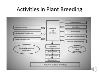 Breeding methods 17.05.2021