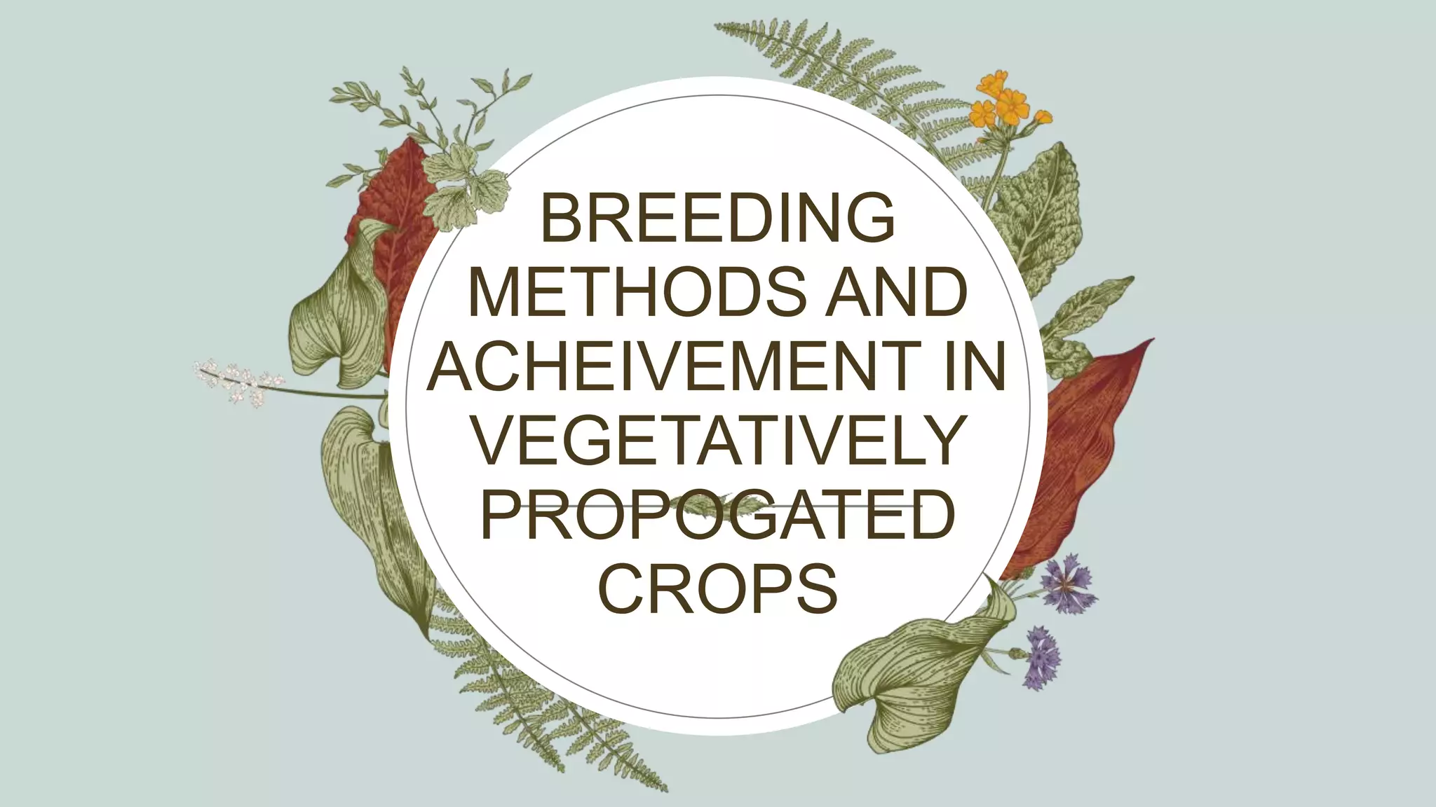 BREEDING METHODS AND ACHEIVEMENT IN VEGETATIVELY PROPOGATED CROPS.pptx