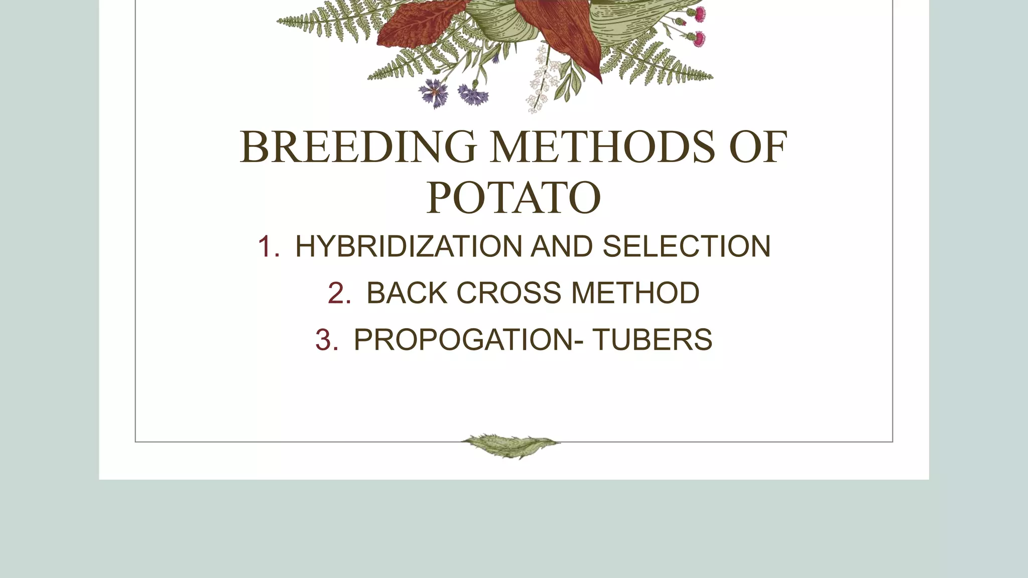 BREEDING METHODS AND ACHEIVEMENT IN VEGETATIVELY PROPOGATED CROPS.pptx