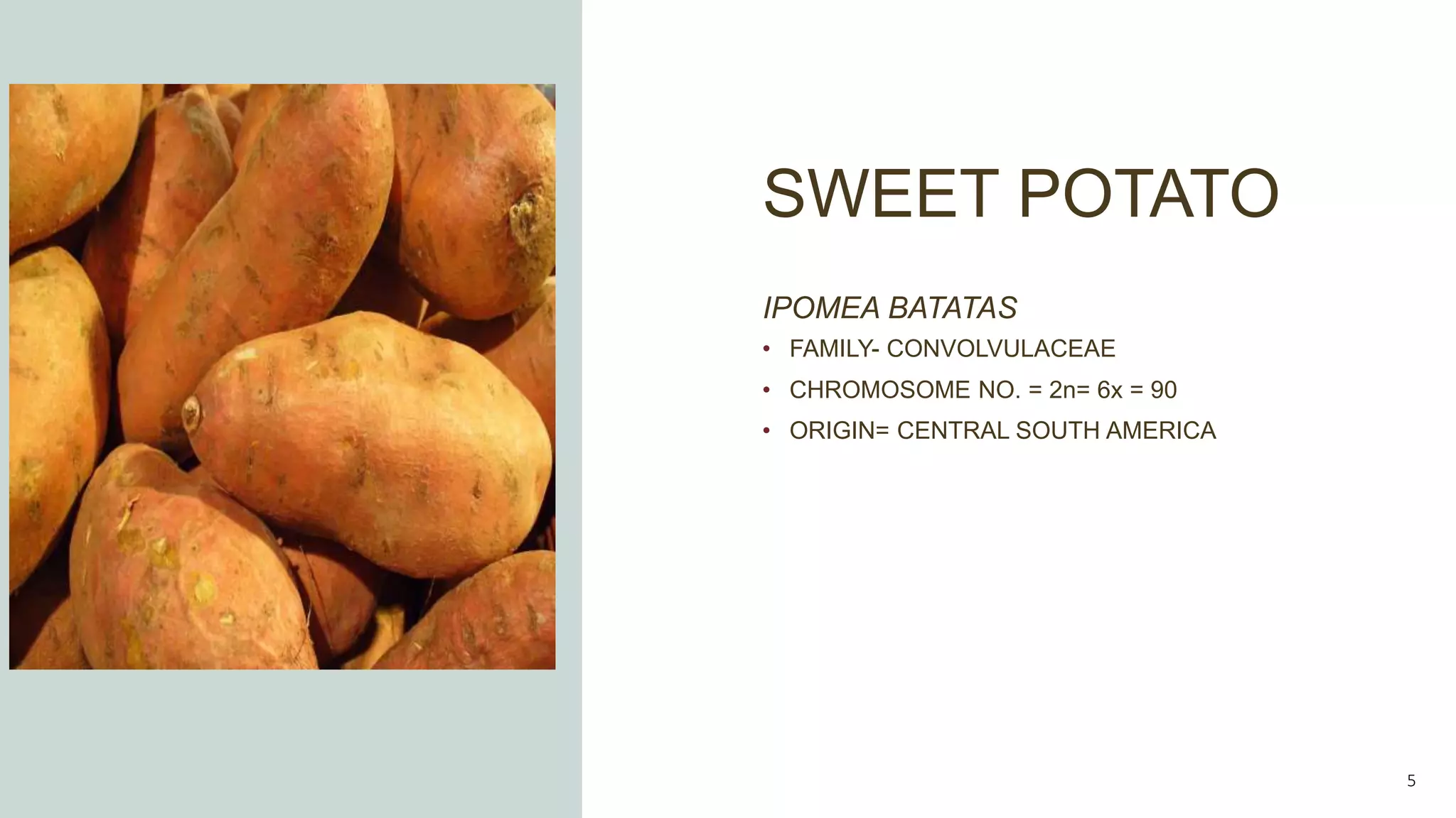 BREEDING METHODS AND ACHEIVEMENT IN VEGETATIVELY PROPOGATED CROPS.pptx