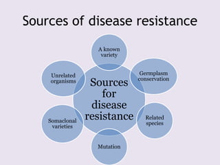 BREEDING METHODS FOR DISEASE RESISTANCE.pptx