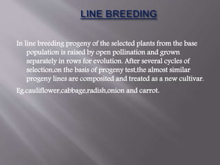 Breeding methods for vegetables | PPTX