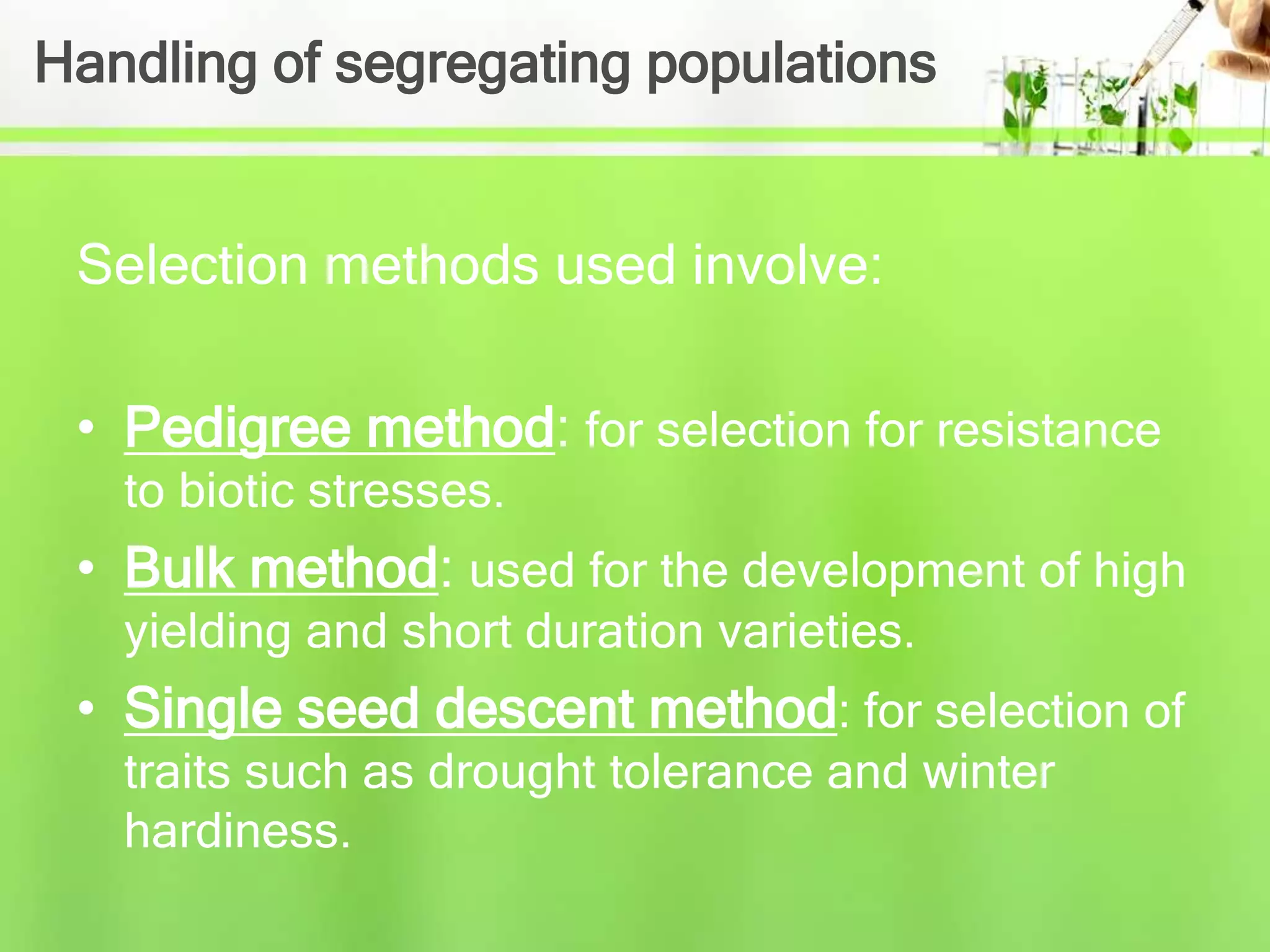 Breeding methods in chick pea | PPTX