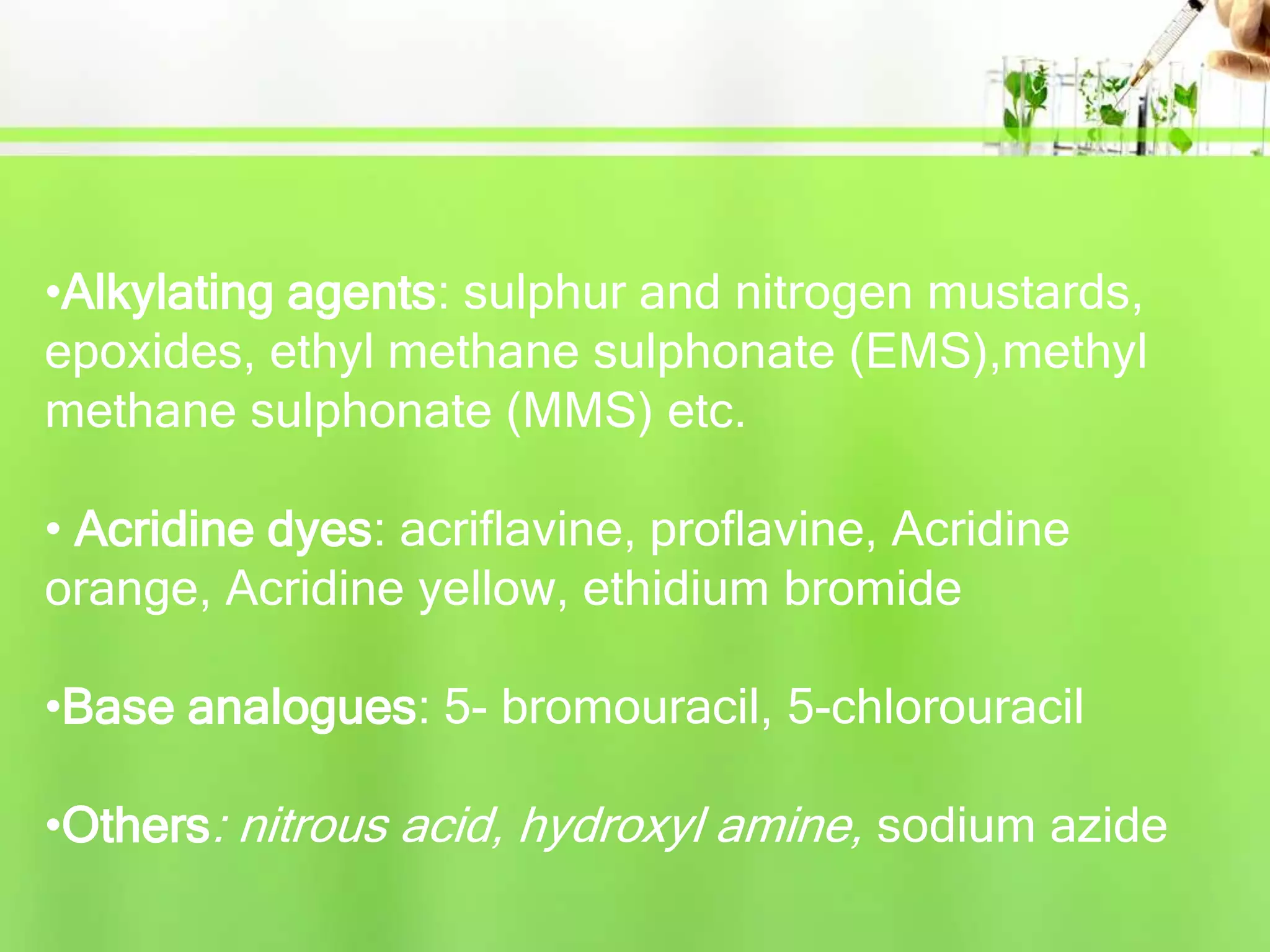 Breeding methods in chick pea | PPTX