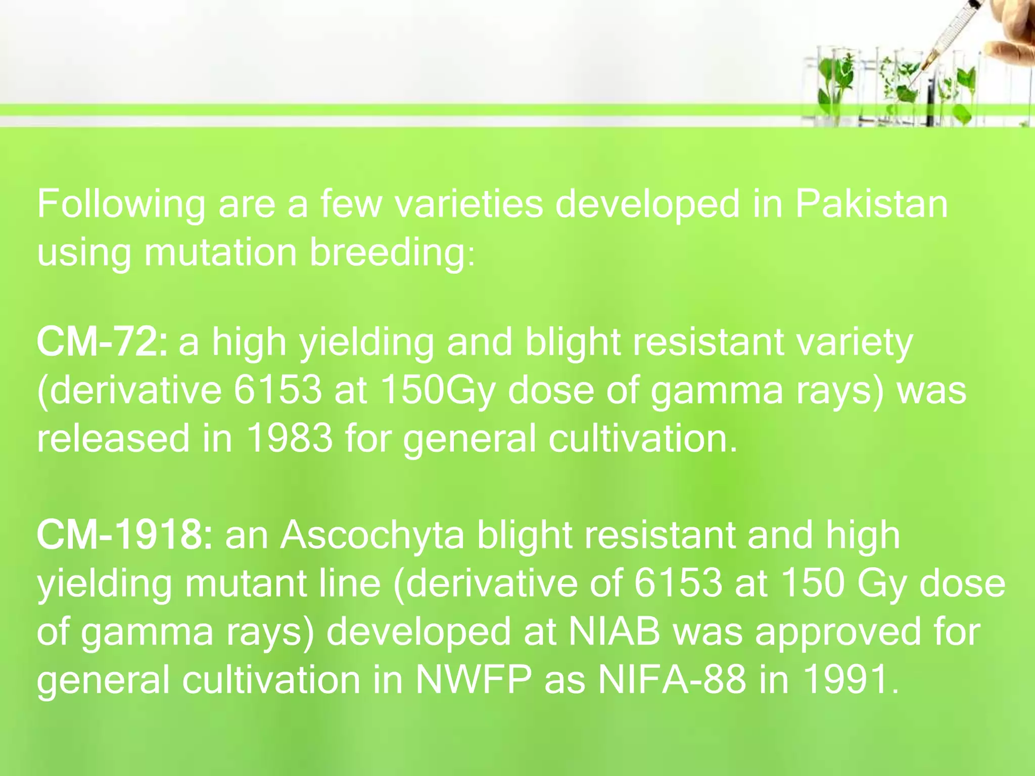 Breeding methods in chick pea | PPTX