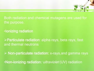 Breeding methods in chick pea | PPTX