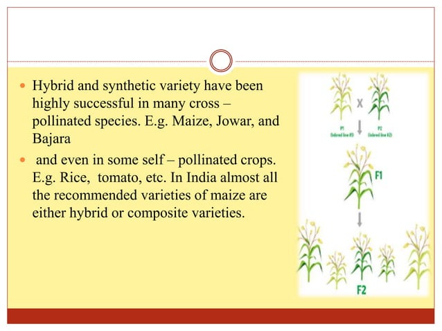 Breeding methods in cross pollinated crops | PPTX | Agriculture ...