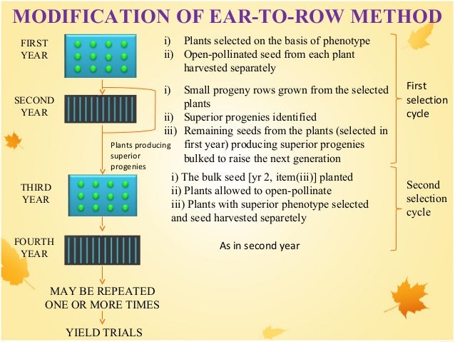 Breeding methods in cross pollinated crops