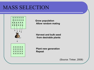 Breeding methods in cross pollinated crops | PPT