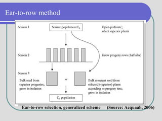 Breeding methods in cross pollinated crops | PPT