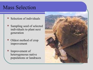 Breeding methods in cross pollinated crops | PPT