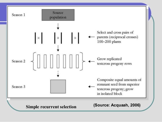 Breeding Methods In Cross Pollinated Crops