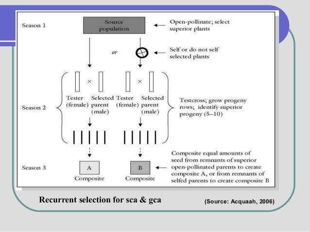 Breeding Methods In Cross Pollinated Crops