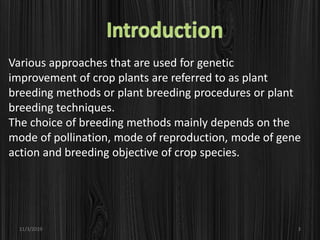 Breeding methods in cross pollinated crops | PPTX