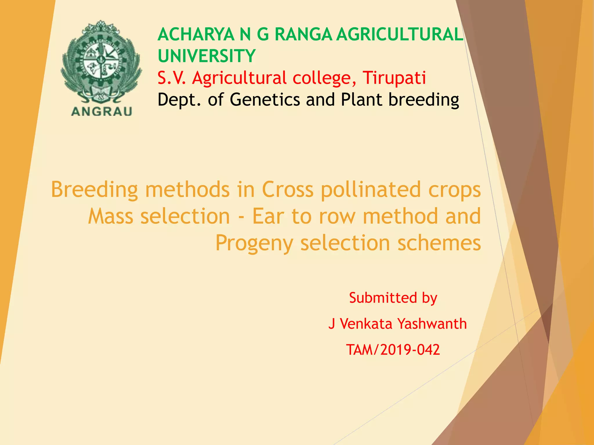 Breeding methods in cross pollinated crops | PPTX