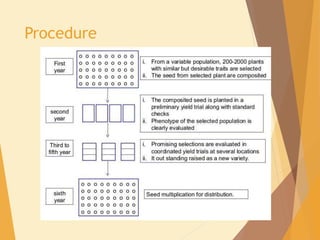 Breeding methods in cross pollinated crops | PPTX