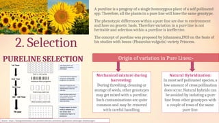 Breeding Methods in Flower Crops....pptx