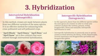 Breeding Methods in Flower Crops....pptx