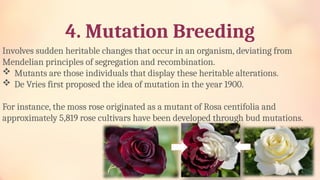 Breeding Methods in Flower Crops....pptx