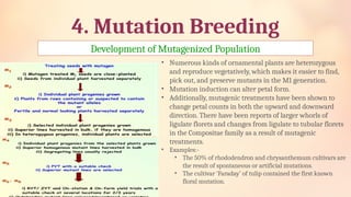 Breeding Methods in Flower Crops....pptx