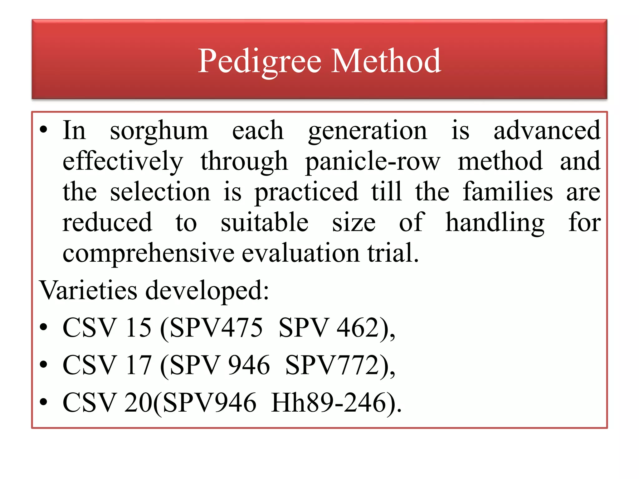 Breeding methods in sorghum | PPTX
