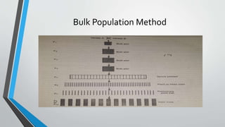 Breeding methods of cowpea(vigna unguiculata l | PPTX