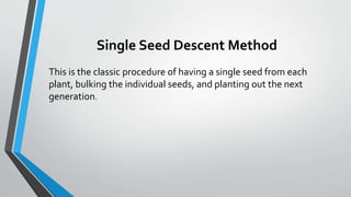 Breeding methods of cowpea(vigna unguiculata l | PPTX