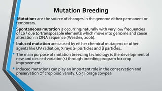 Breeding methods of cowpea(vigna unguiculata l | PPTX