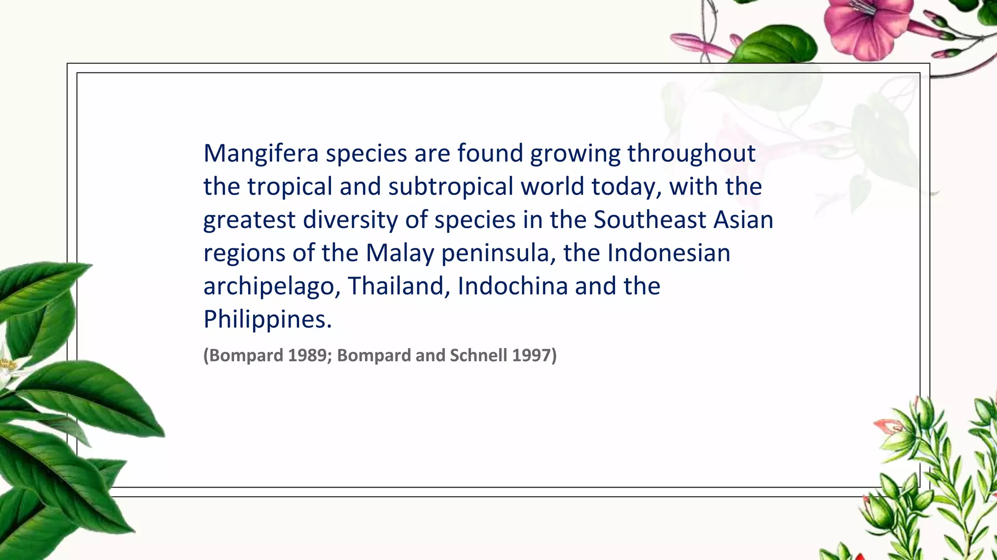 Breeding methods of mango | PPTX