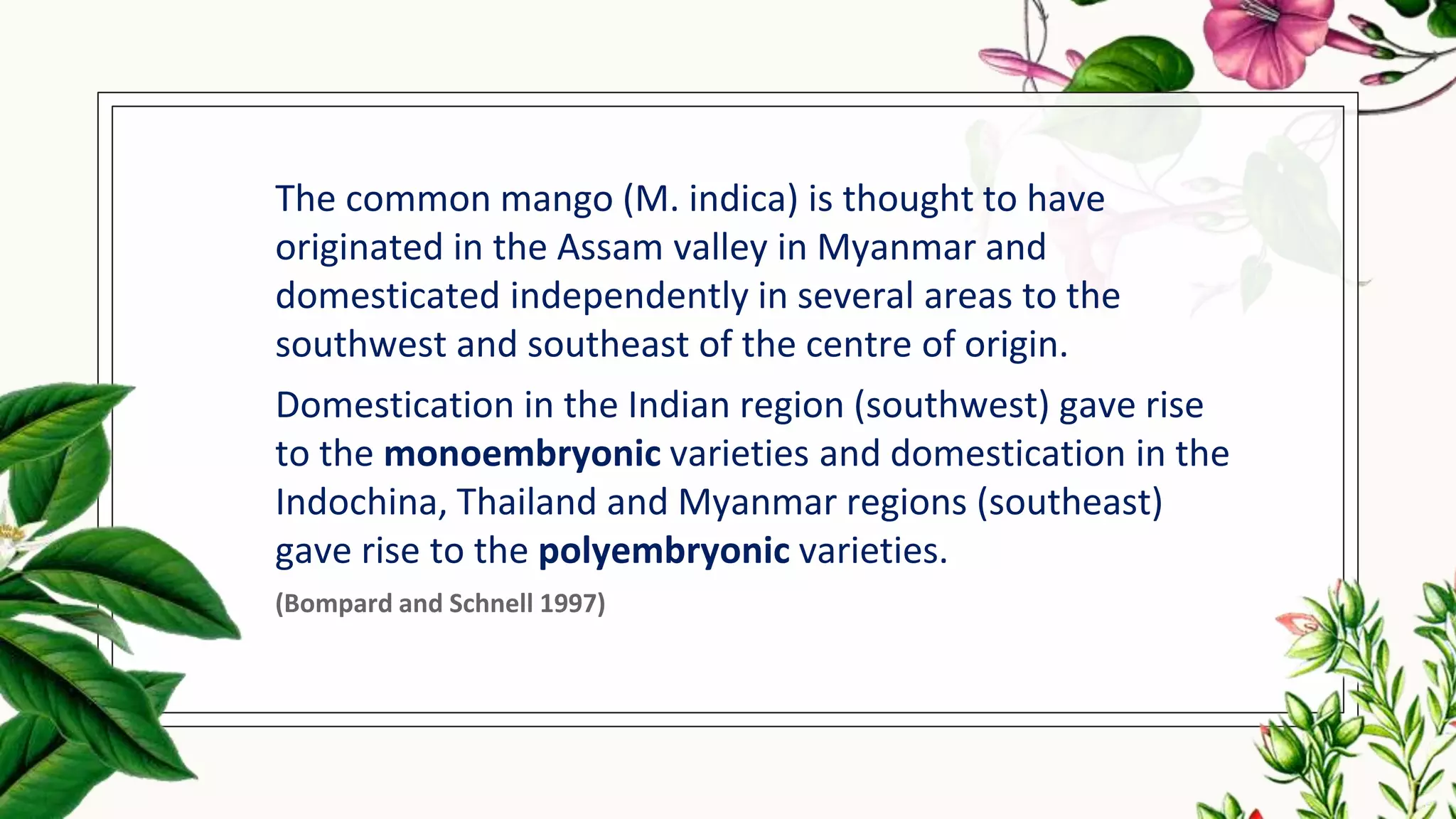 Breeding methods of mango | PPTX