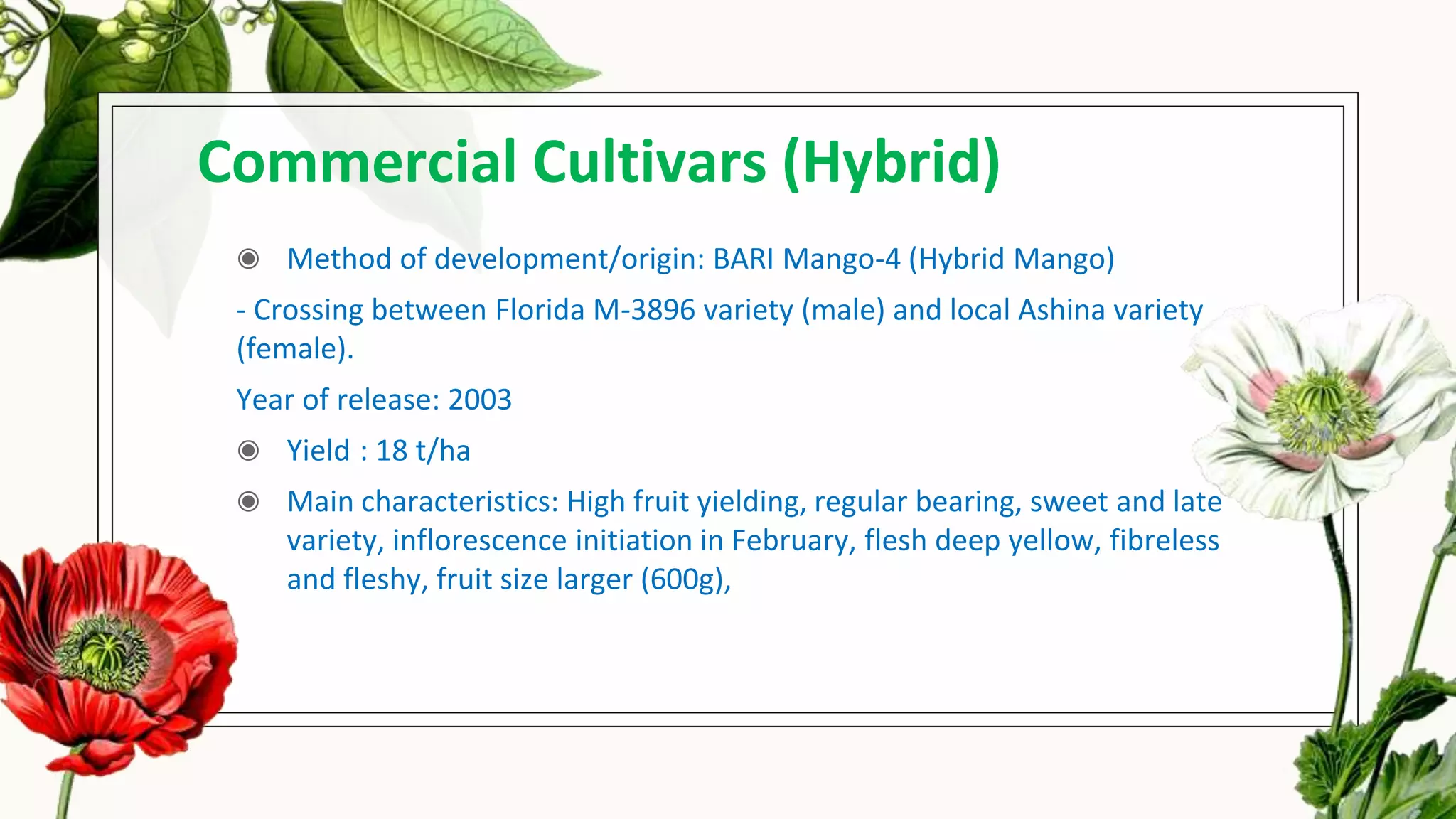 Breeding methods of mango | PPTX