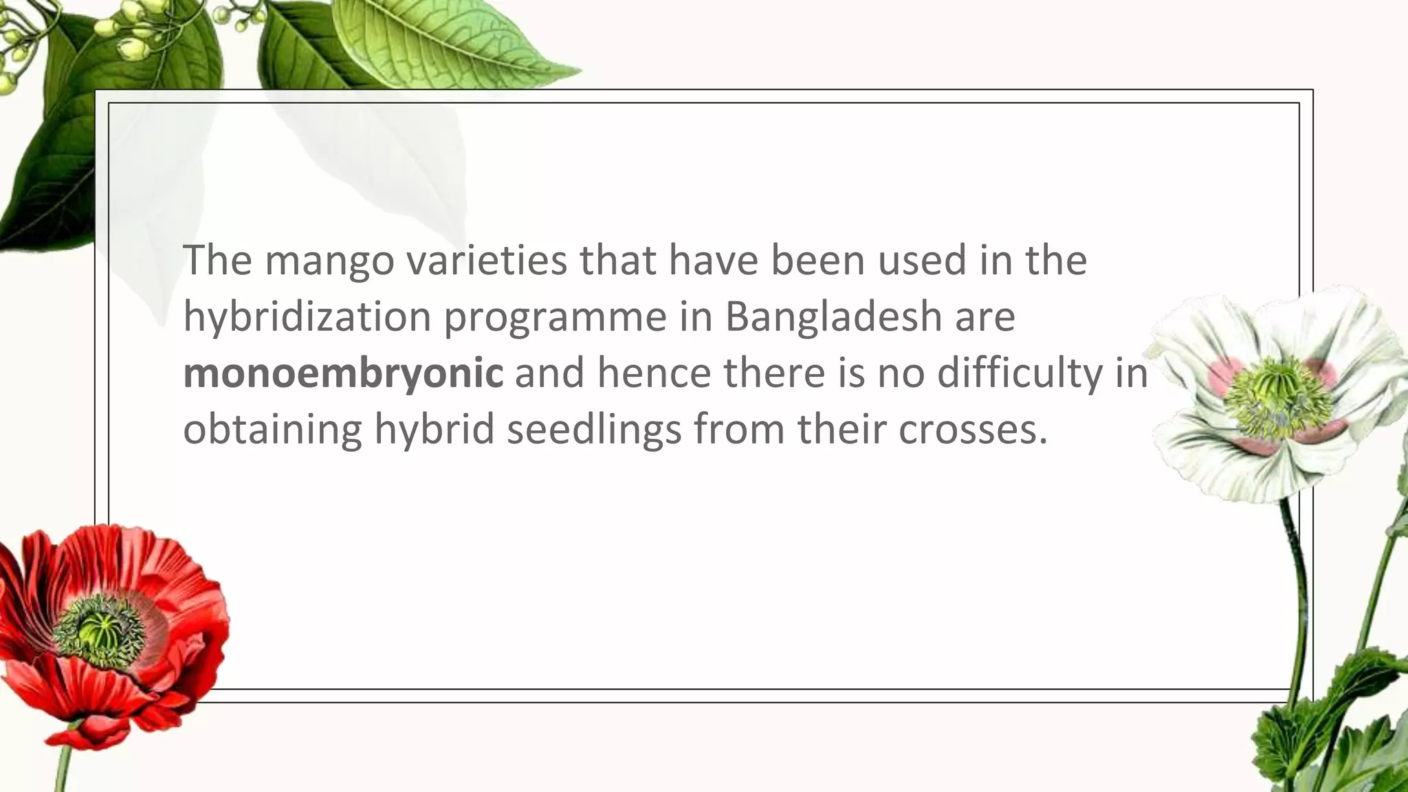 Breeding methods of mango | PPTX