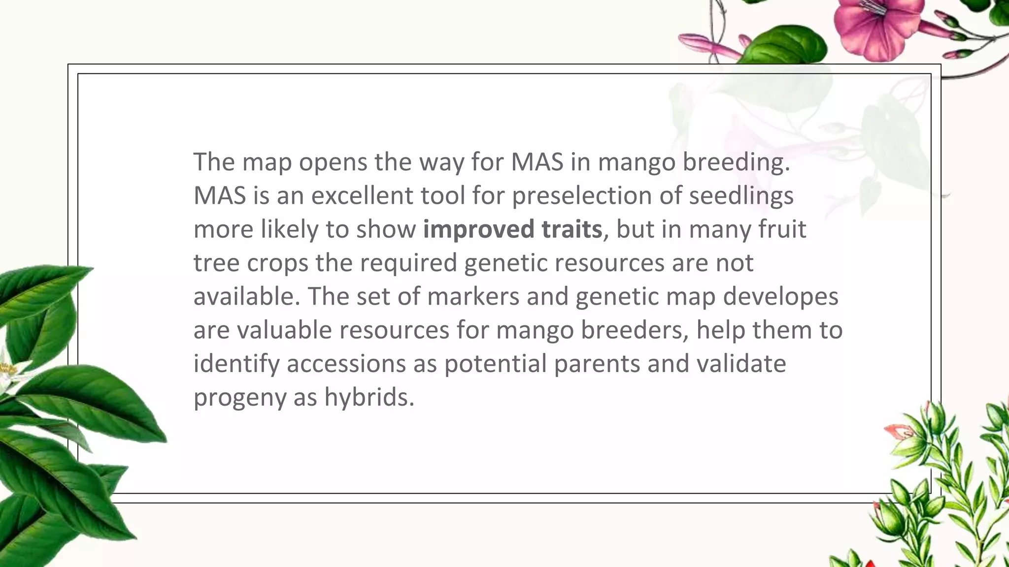 Breeding methods of mango | PPTX