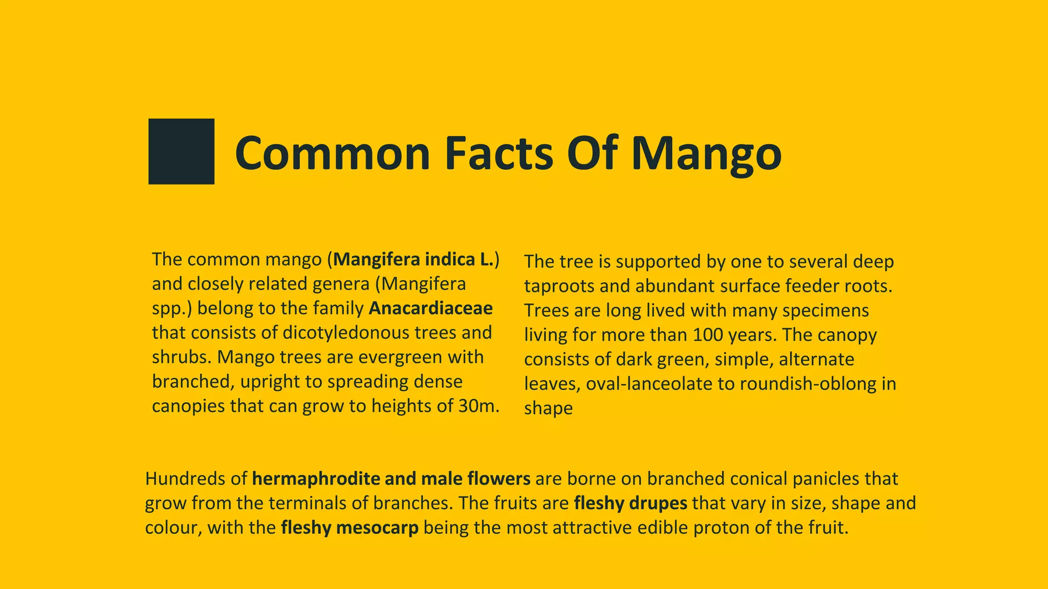 Breeding methods of mango | PPTX