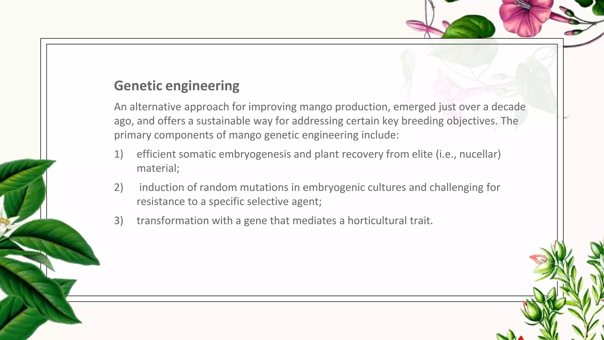 Breeding methods of mango | PPTX