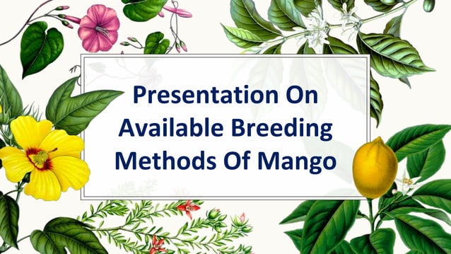 Breeding methods of mango | PPTX