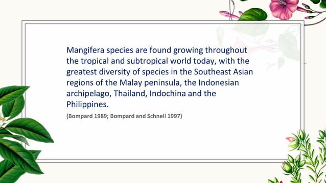 Breeding methods of mango | PPTX
