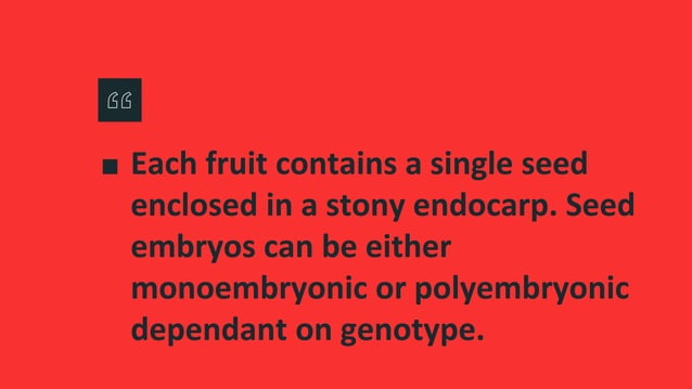 Breeding methods of mango | PPTX