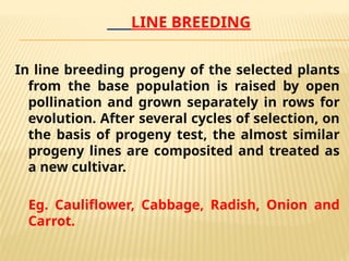 Breeding Methods used in Vegetable Breeding.pptx