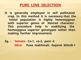 Breeding Methods used in Vegetable Breeding.pptx